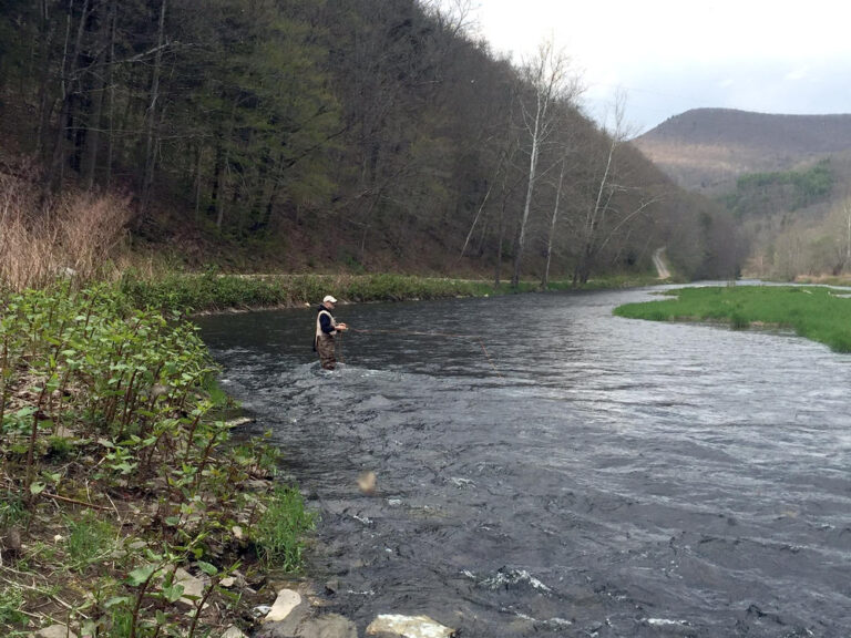Fishing | Visit Potter-Tioga Pennsylvania
