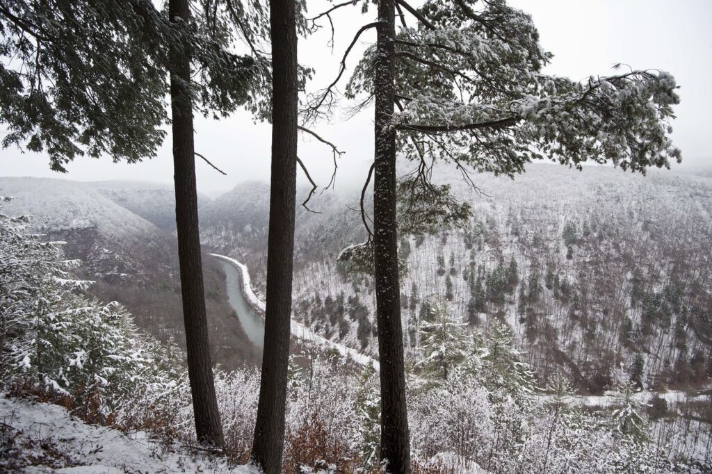 Colton Point State Park | Visit Potter-Tioga Pennsylvania
