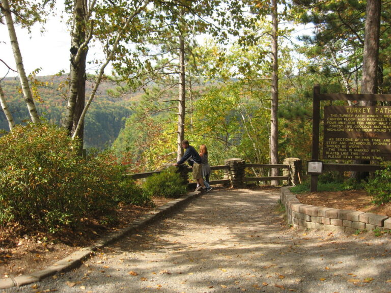 Leonard Harrison State Park | Visit Potter-Tioga Pennsylvania