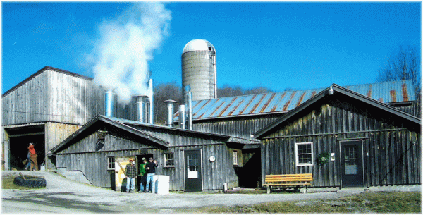 Patterson Maple Farms | Visit Potter-Tioga Pennsylvania
